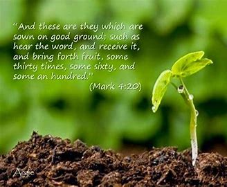 The Good Ground – HEM Int'l